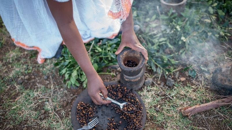 The Slow and Steady Evolution of the Cappuccino - Last Call Trivia