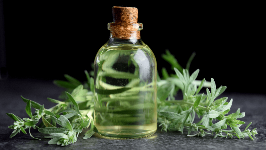 Is Absinthe the Most Misunderstood Spirit? - Last Call Trivia