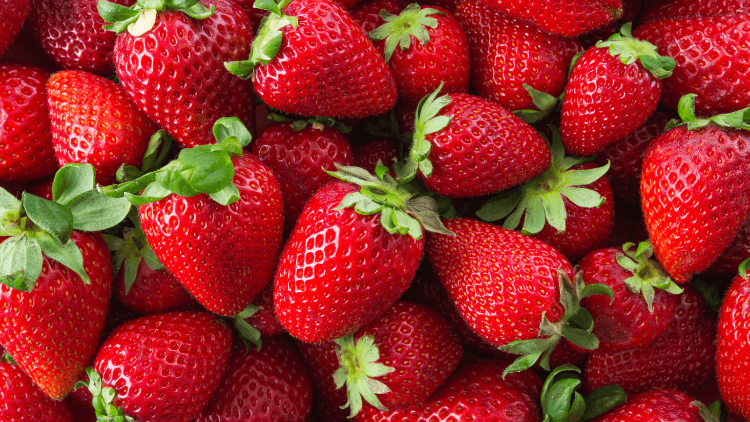 Strawberries Are Easy to Grow and Packed With Nutrients - Last Call Trivia